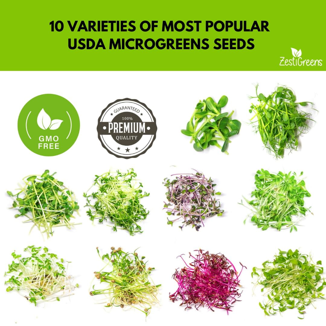 10 Variety Pack AJH3 Microgreens Seeds - Broccoli, Sunflower, Pea, Mix ...