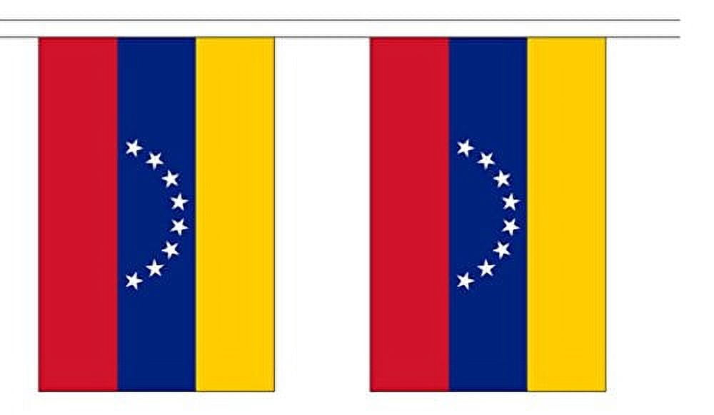 10' Venezuela String Flag Party Bunting Has 10 Venezuelan 6"x9 ...