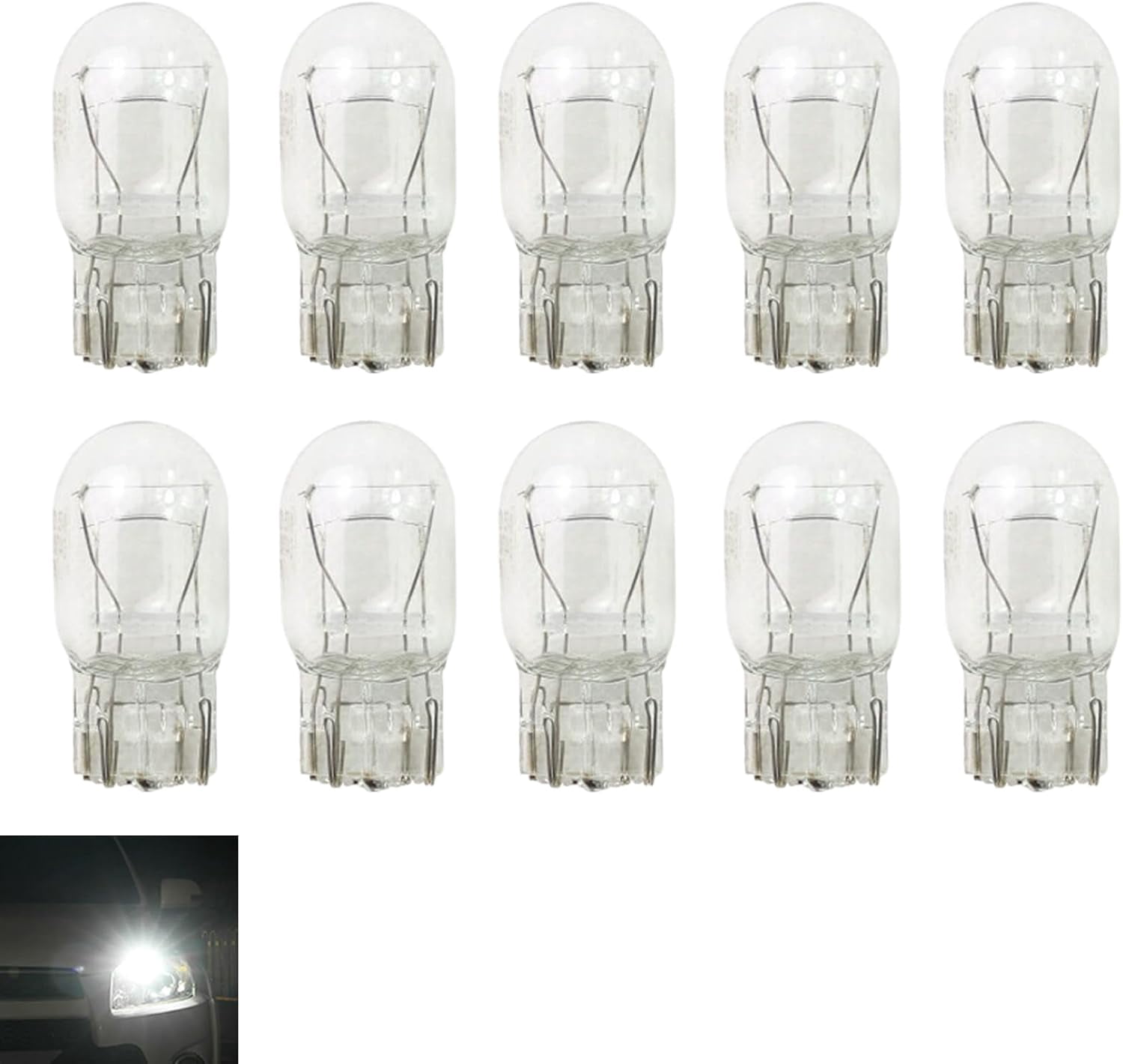 10 count T20 1891/7443 Bulb, Lamp Housing Double Filament Bulb ...