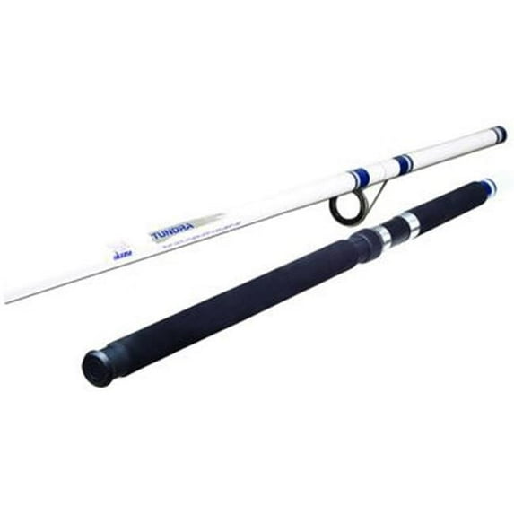 10 ft. Fishing Tundra Spinning Rod with Medium & Heavy Power - 2 Piece ...