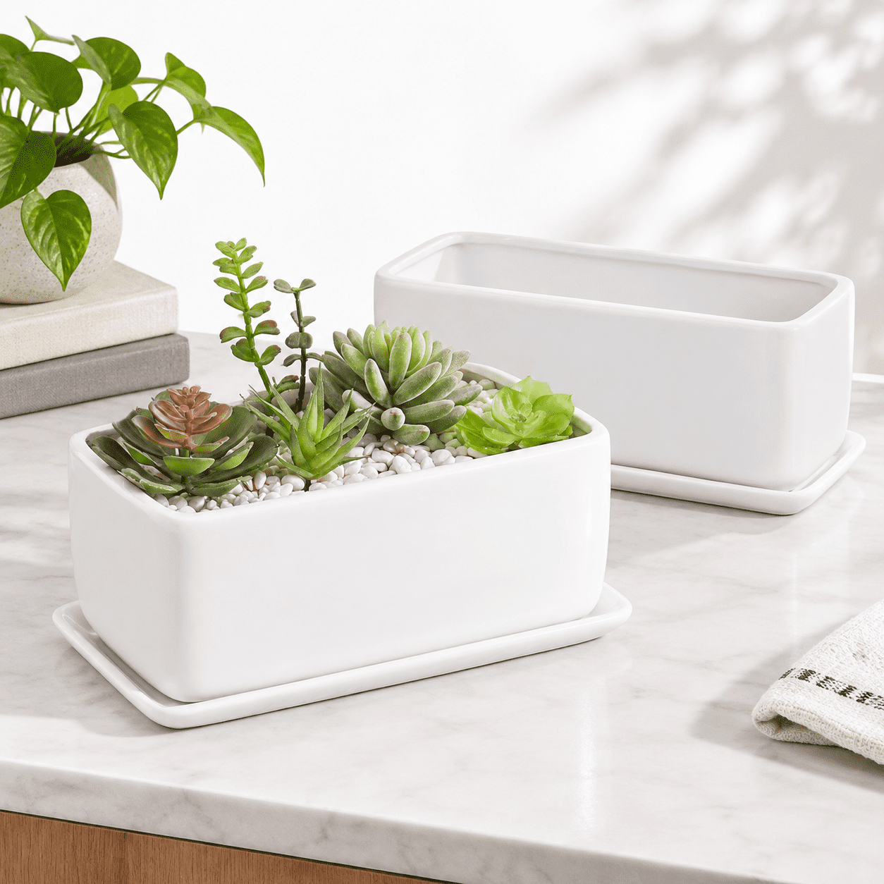10 inch - 2 Pack White Unglazed Ceramic Succulent Planters with ...