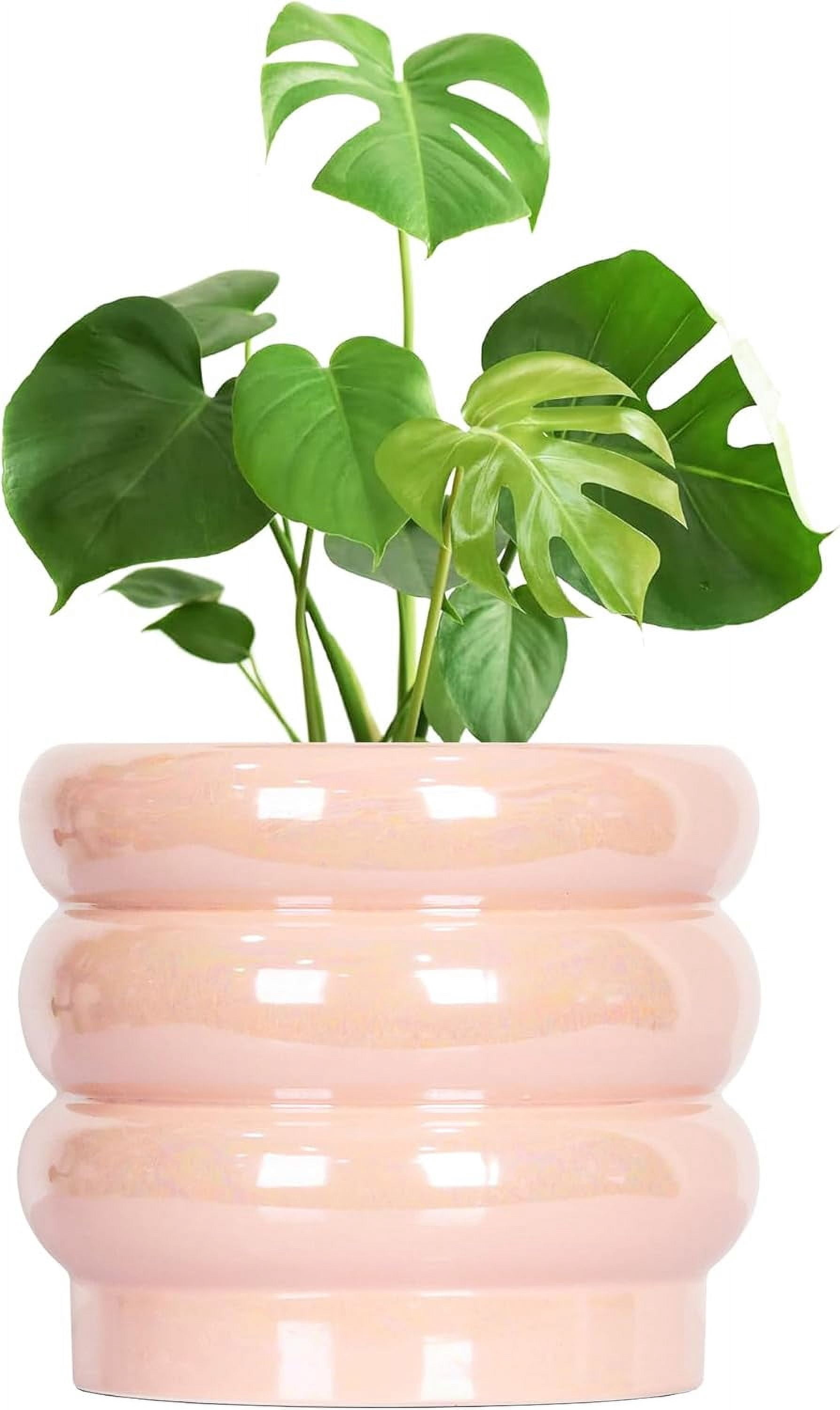 10 inch Ceramic Plant Pots for Indoor Plants, Rainbow Pearl Glaze ...