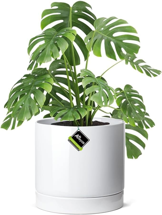 10 inch Ceramic Planter Pot with Drainage Hole and Saucer - Suitable ...