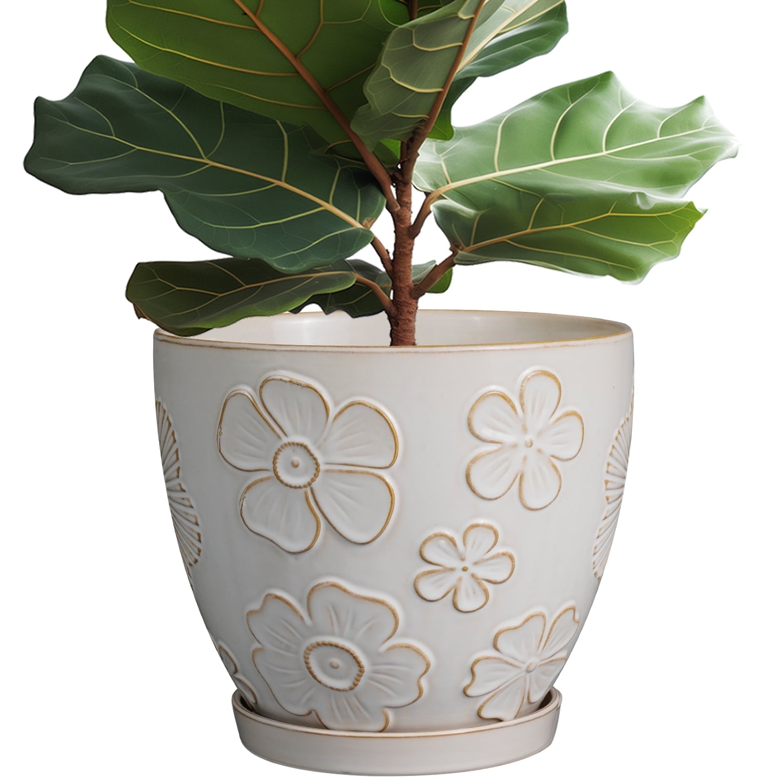 10 inch Large Ceramic Flower Pot, Round Pots for Plants with Saucer for ...