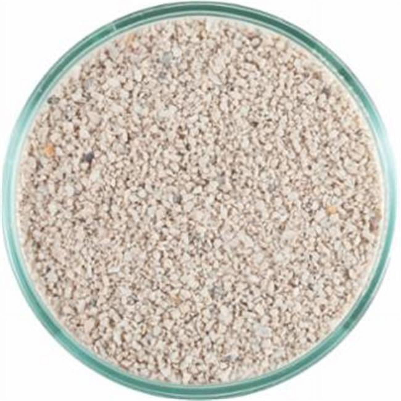 10 lbs Arag Alive Reef Fine Sand - 4 per Pack - Walmart.com
