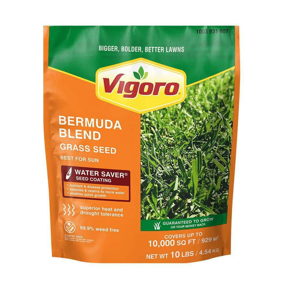 10 Lbs Bermuda Grass Seed Blend With Water Saver Seed Coating