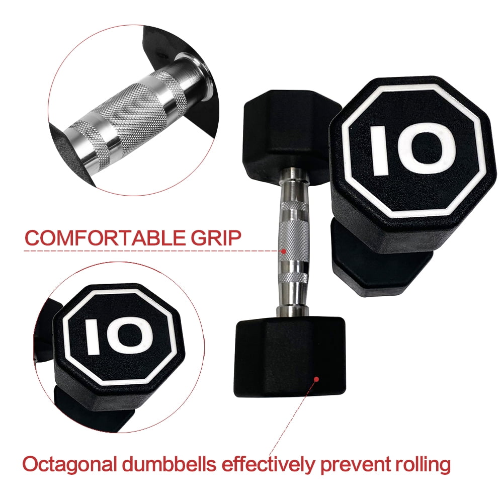 10 lbs Set of 2 Premium Octagonal Dumbbells – Hard Chrome Plated ...