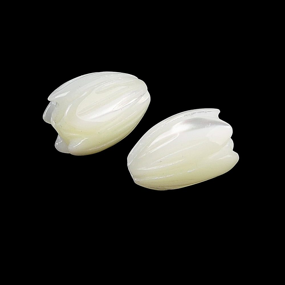10 pc Natural Trochus Shell Flower Beads Half Drilled Tulip WhiteSmoke ...