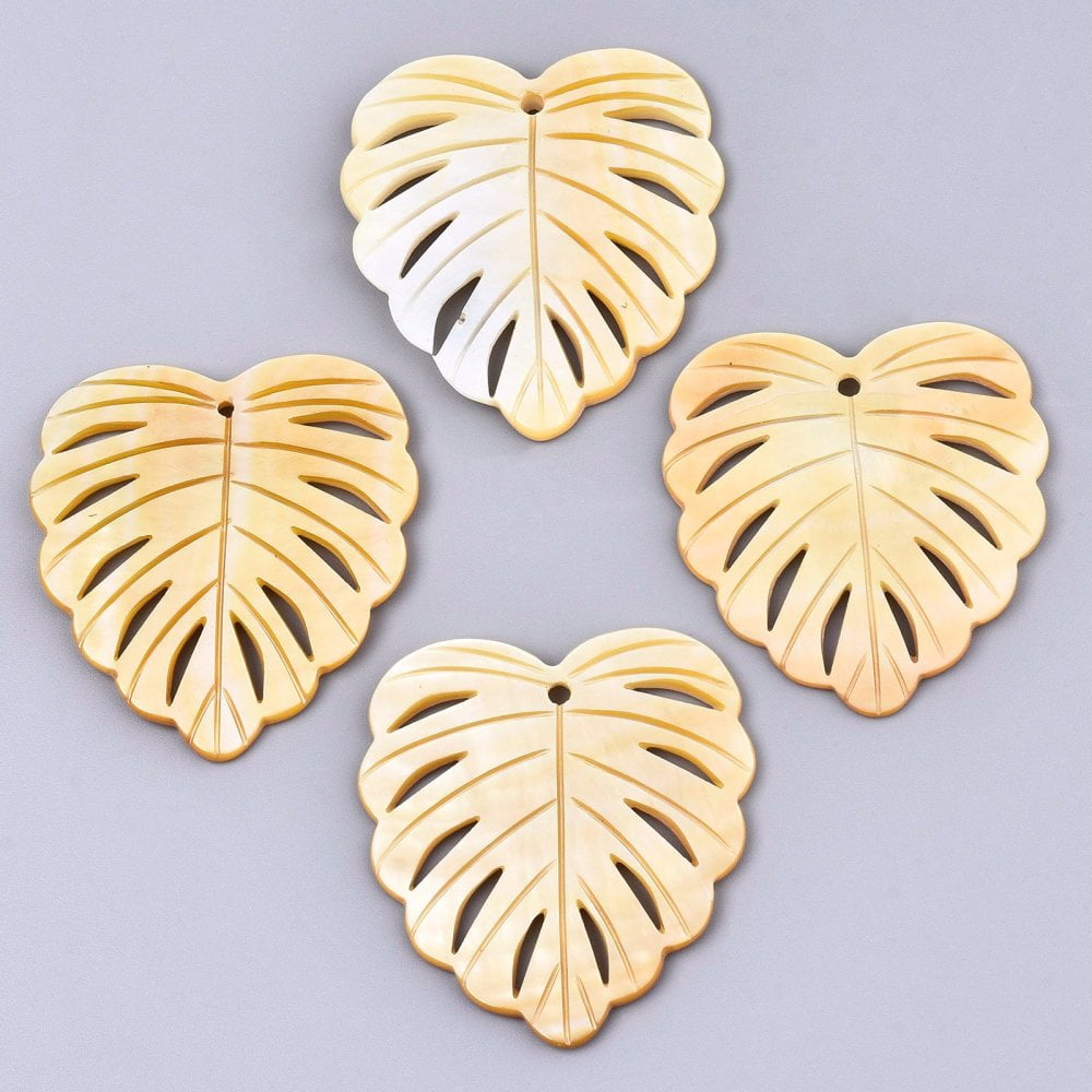 10 pc Natural Yellow Shell Pendants Tropical Leaf Charms Monstera Leaf ...