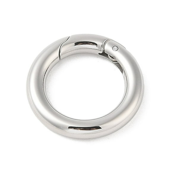 10 pc Resistant 304 Stainless Steel Spring Gate Rings O Rings Manual ...