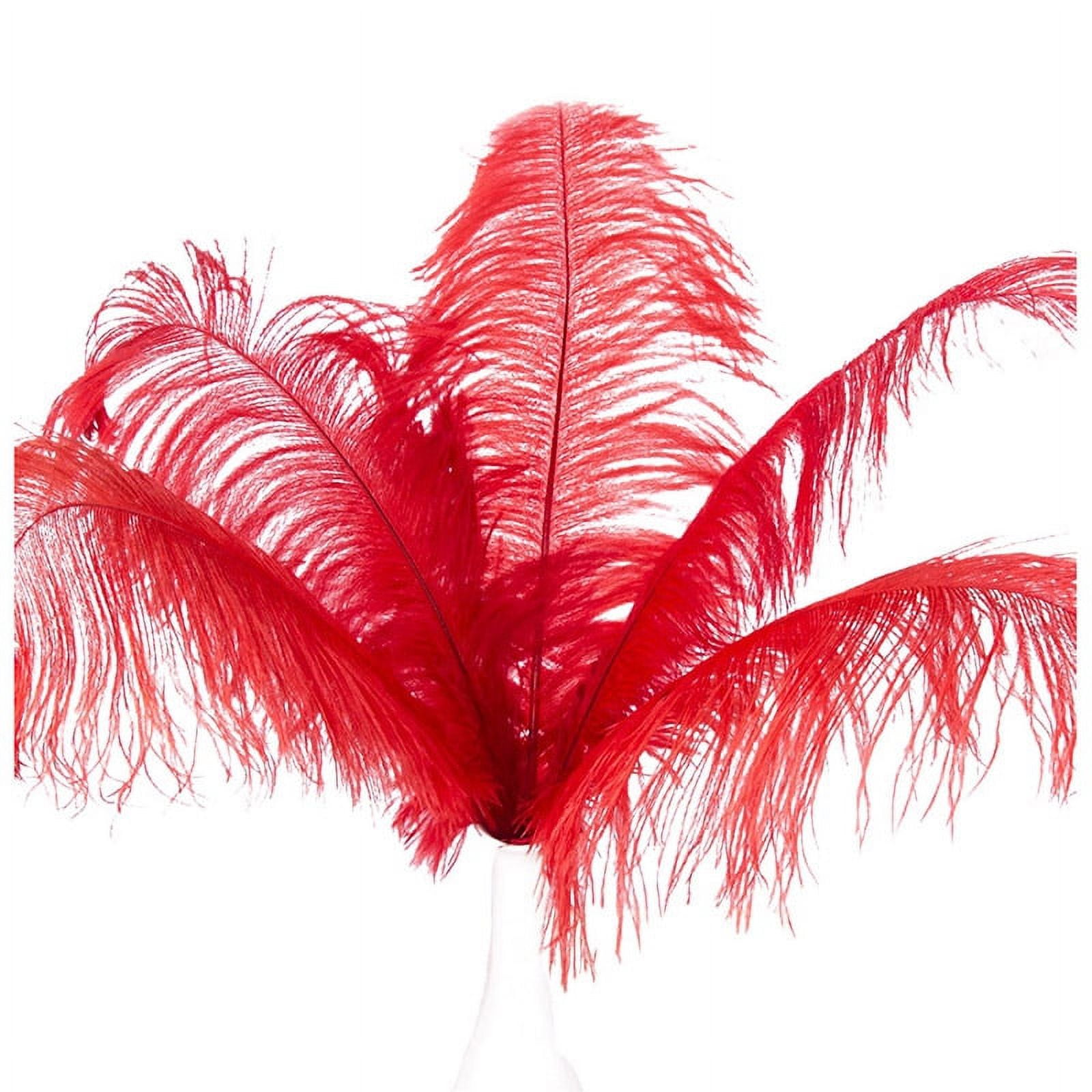 Unbranded Ostrich Feathers, Red, 20-25cm, 10pcs, Wedding, Party ...