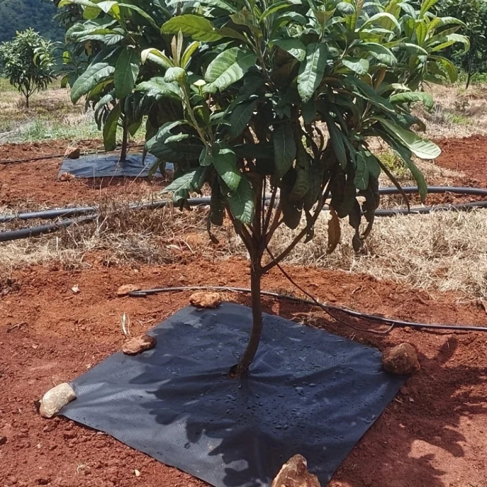10 pieces of reusable tree weed control and moisturizing cover - non ...