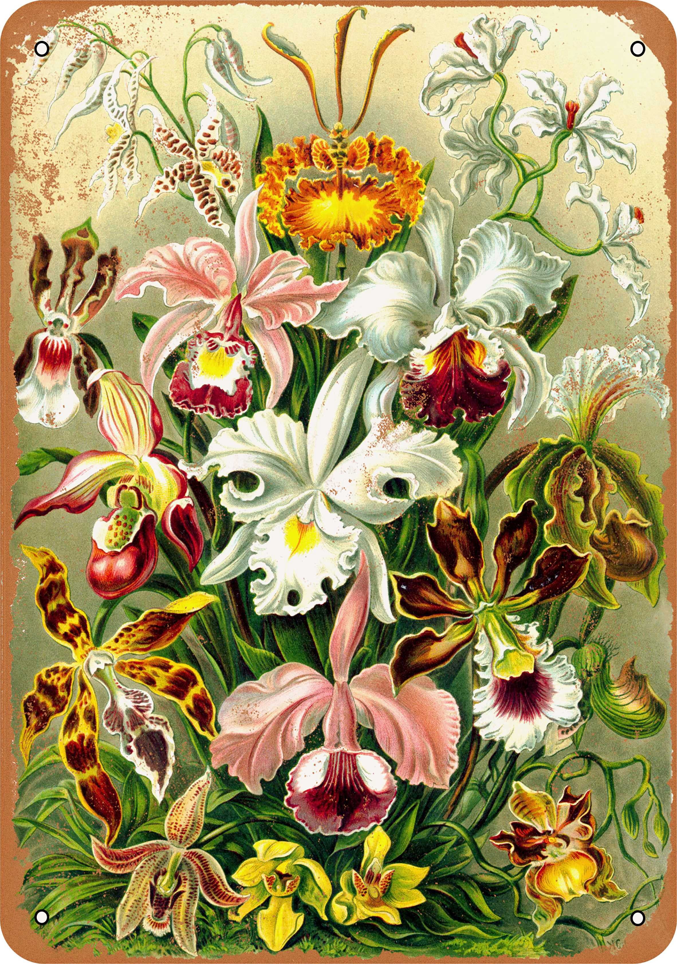 10 x 14 METAL SIGN - 1904 Orchids Bouquet - Vintage Rusty Look ...