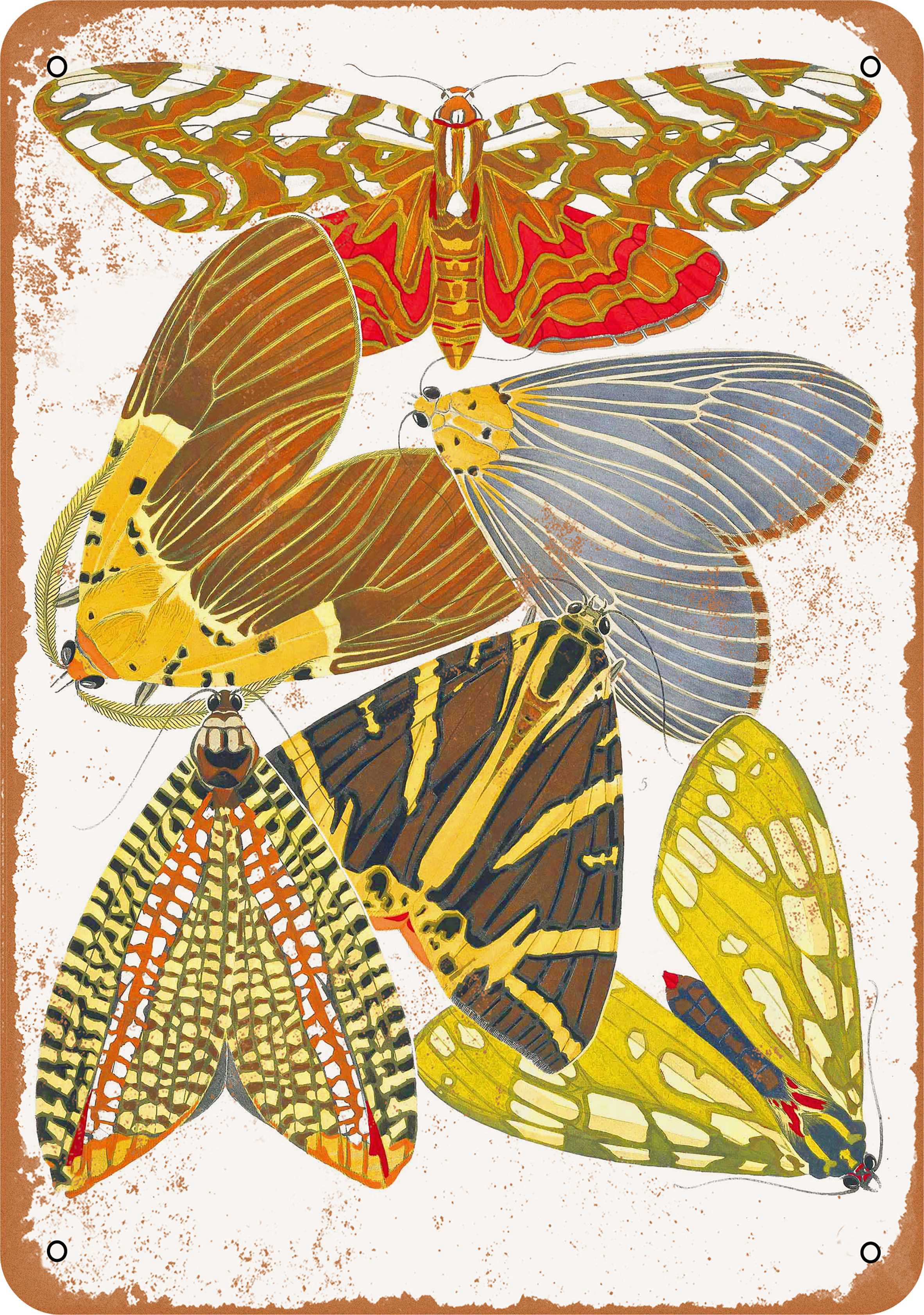 10 x 14 METAL SIGN - Butterflies 03 - Vintage Rusty Look - Walmart.com