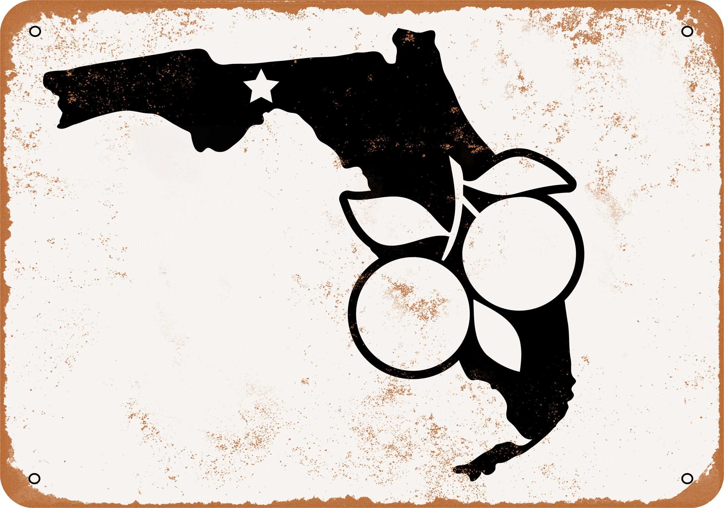 10 x 14 METAL SIGN - Florida State 2 - Vintage Rusty Look - Walmart.com