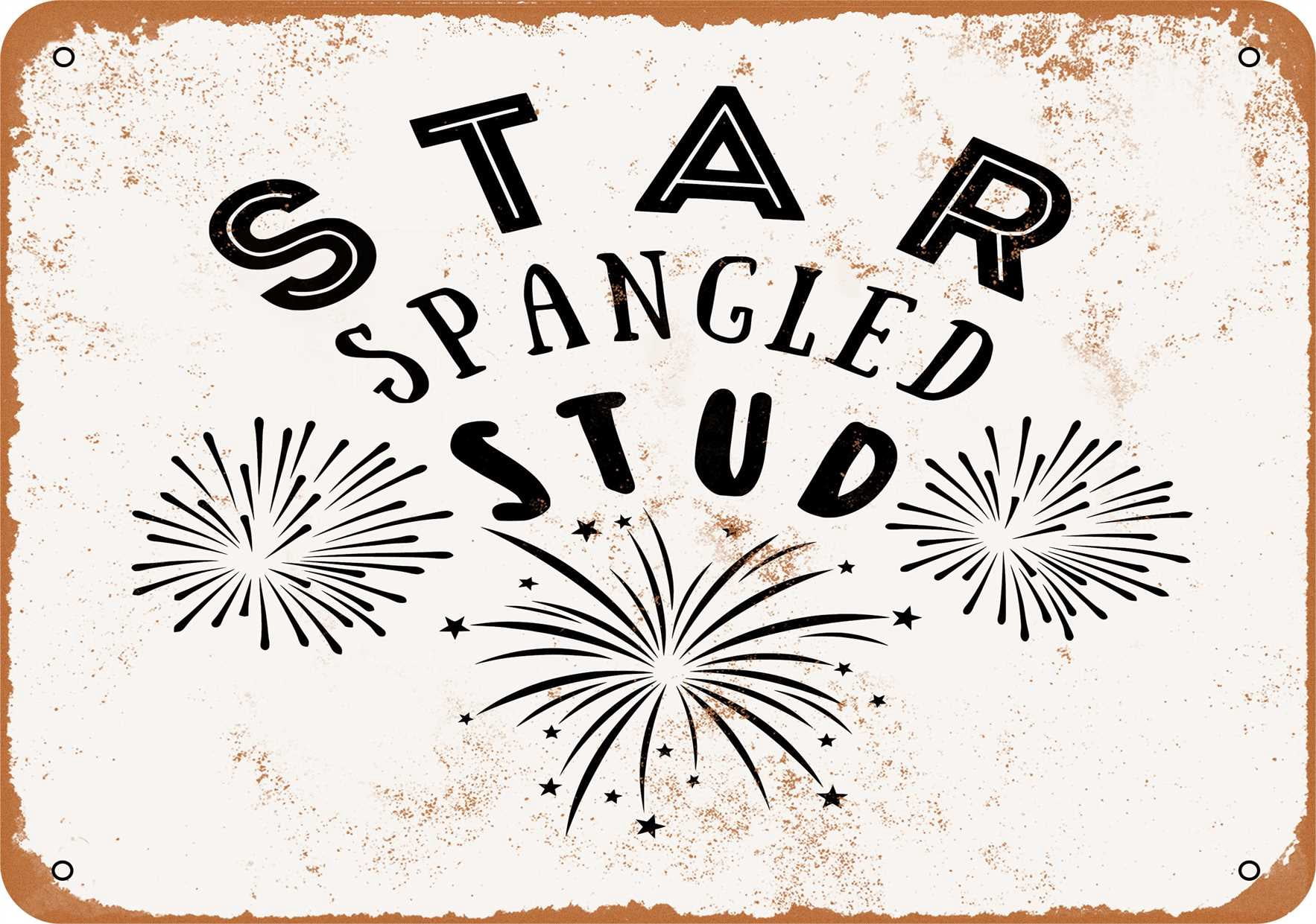 10 x 14 METAL SIGN - Star Spangled Stud - Vintage Rusty Look - Walmart.com