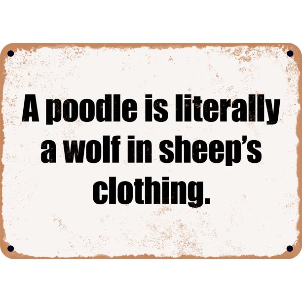 10 x 14 Metal Sign - A poodle is literally a wolf in sheep's clothing ...
