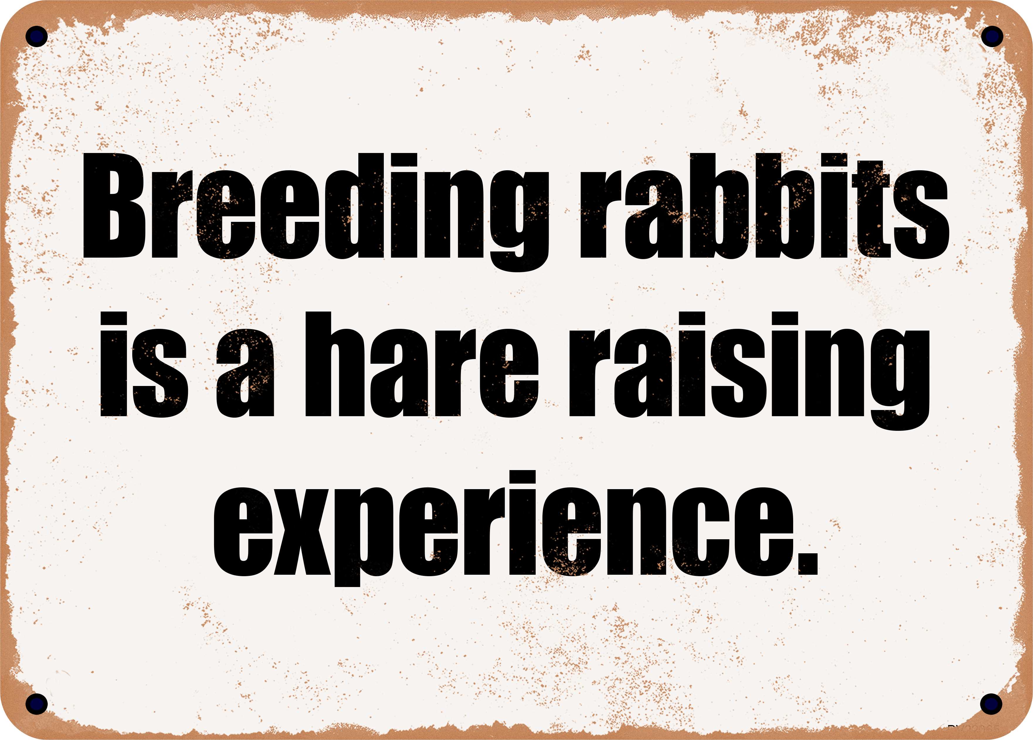 10 x 14 Metal Sign - Breeding rabbits is a hare raising experience ...