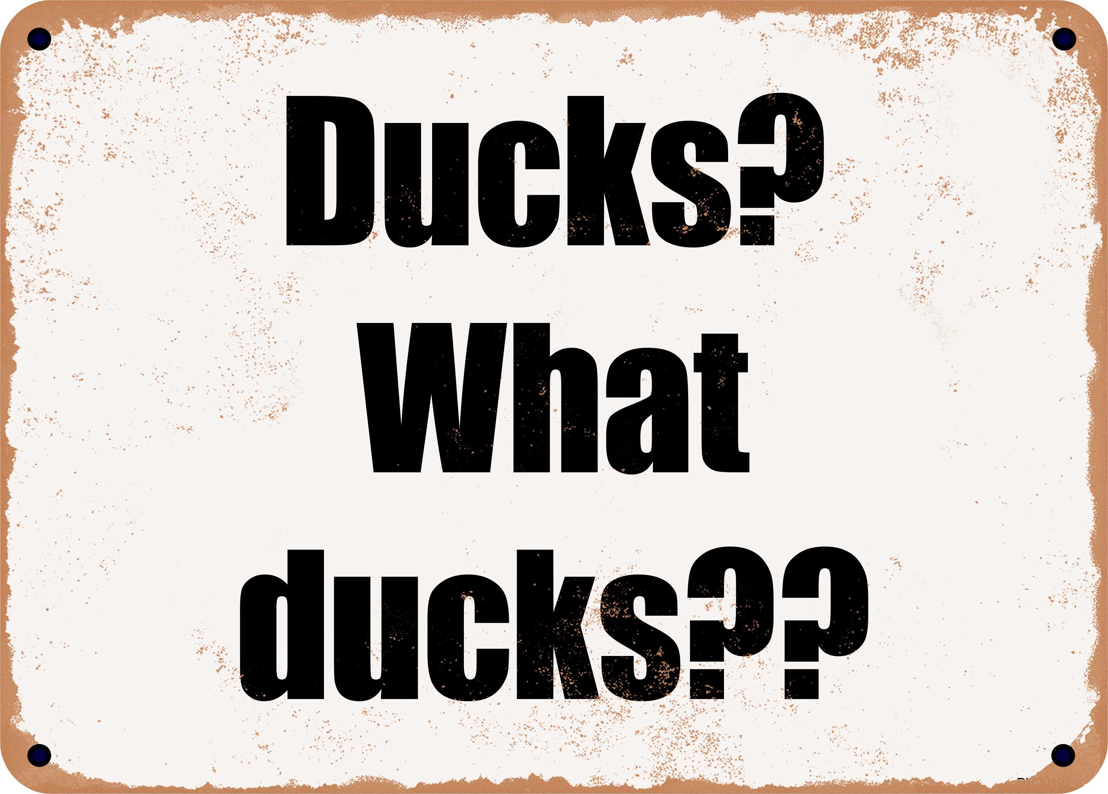 10 x 14 Metal Sign - Ducks? What ducks?? - Rusty Vintage Look - Walmart.com