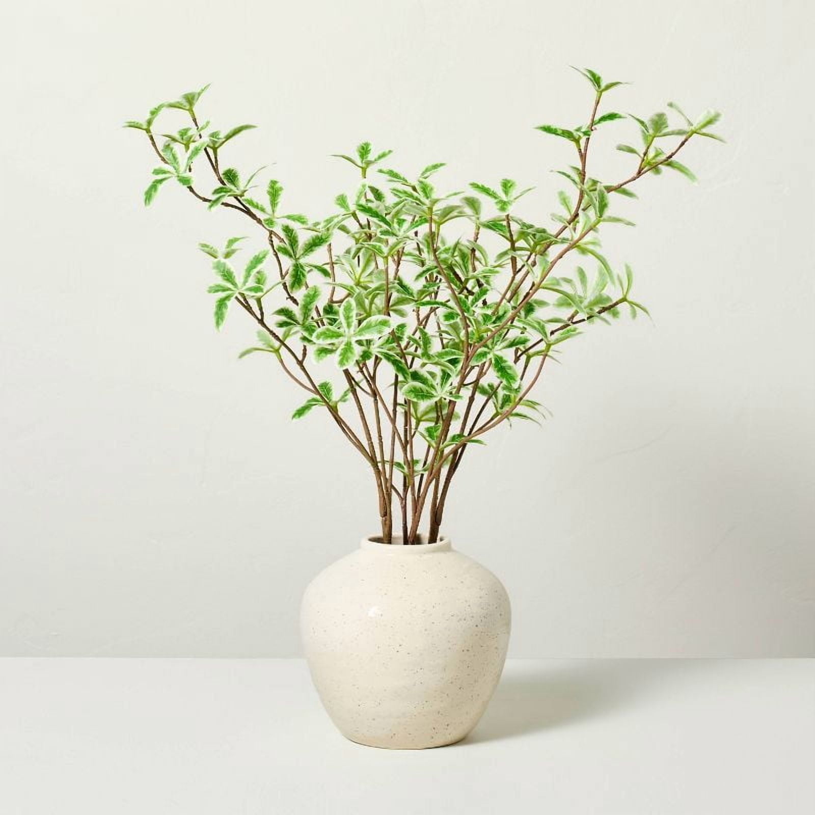 10"x17" Faux Variegated Terminalia Leaf Arrangement - Hearth & Hand ...
