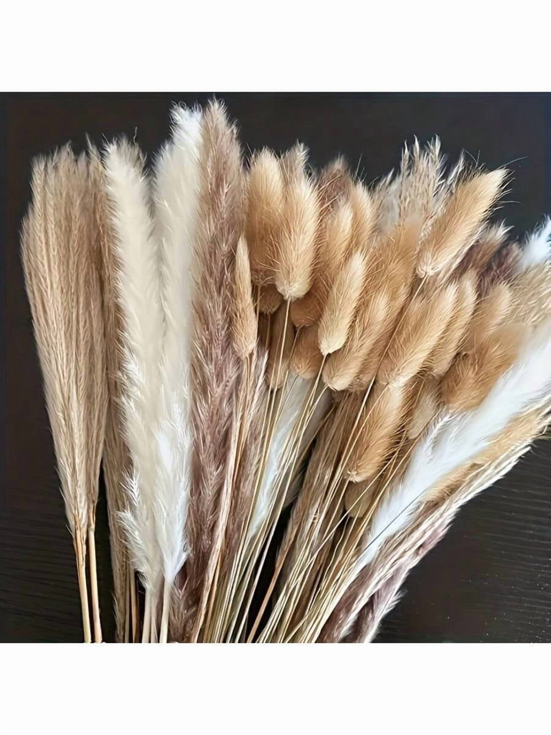 100/200/300/400pcs Pampas Grass Bundle - Dried Rattan Reeds For Boho ...