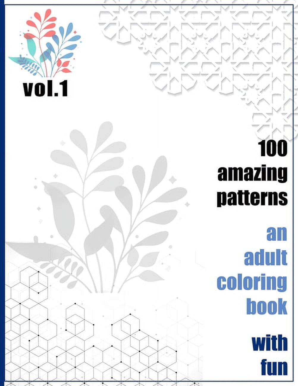 100 Amazing Patterns An Adult Coloring Book With Fun Vol.1: An Adult ...