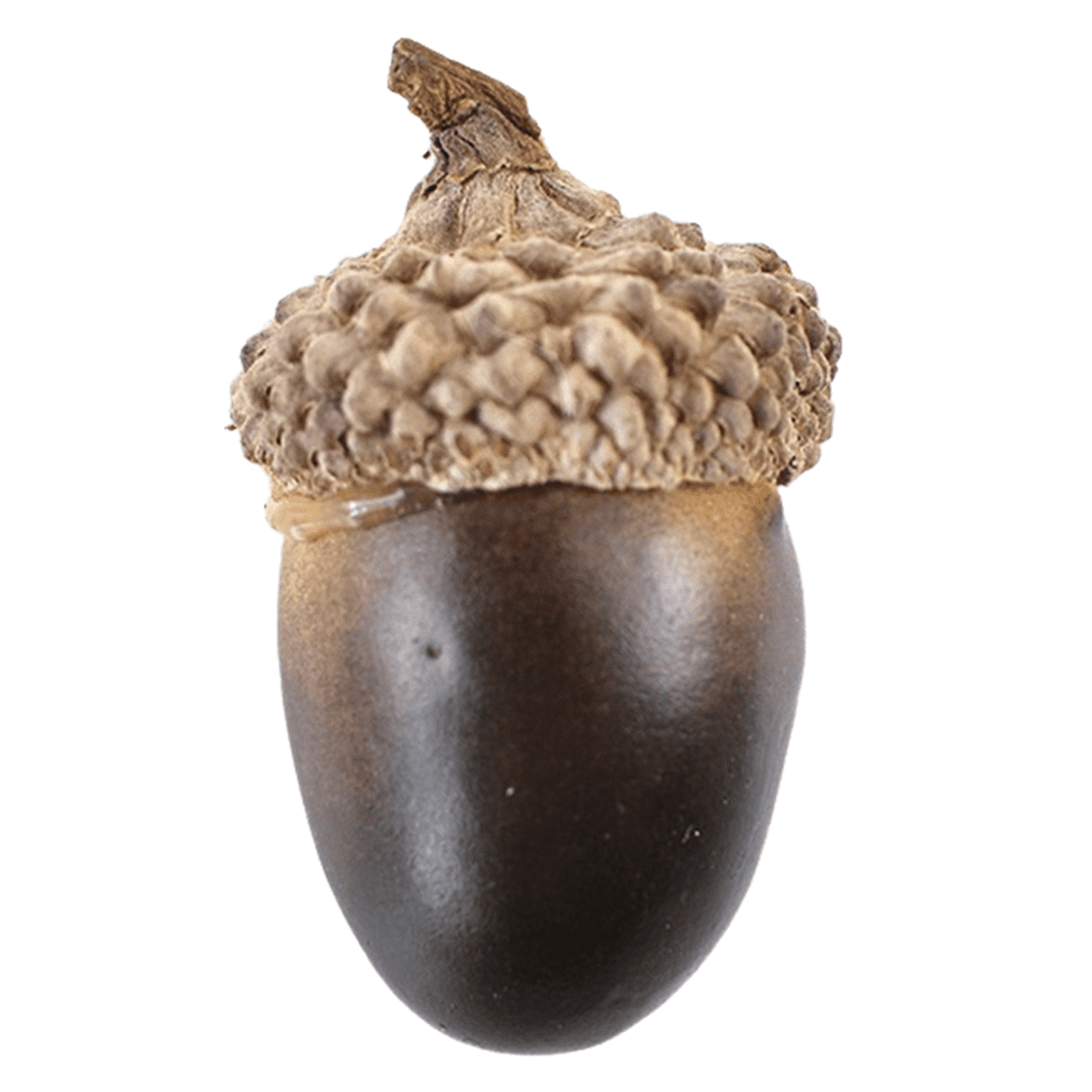 100 * Artificial Acorn-As Shown - Walmart.com