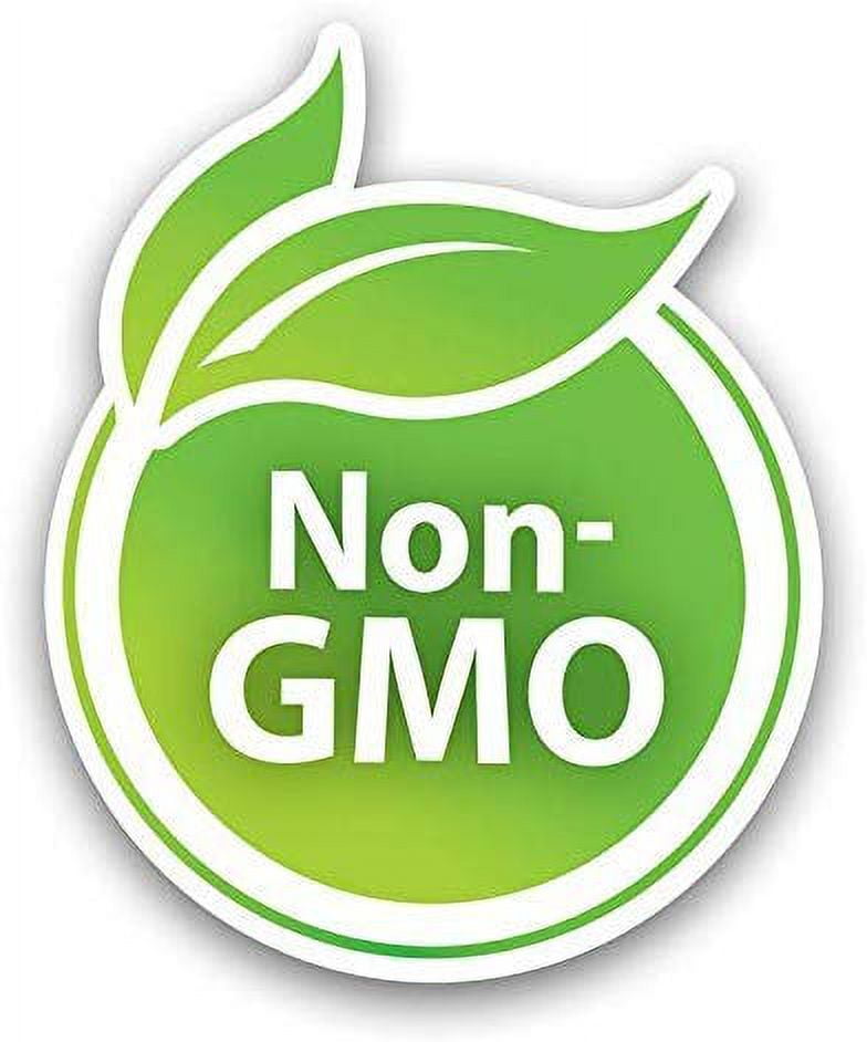 100 Assorted Heirloom Vegetable Seeds 100% Non-GMO (100, Deluxe ...