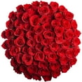 Walmart 100 Freshly Long Stem Red Roses- Beautiful Cut Flowers- Quick ...