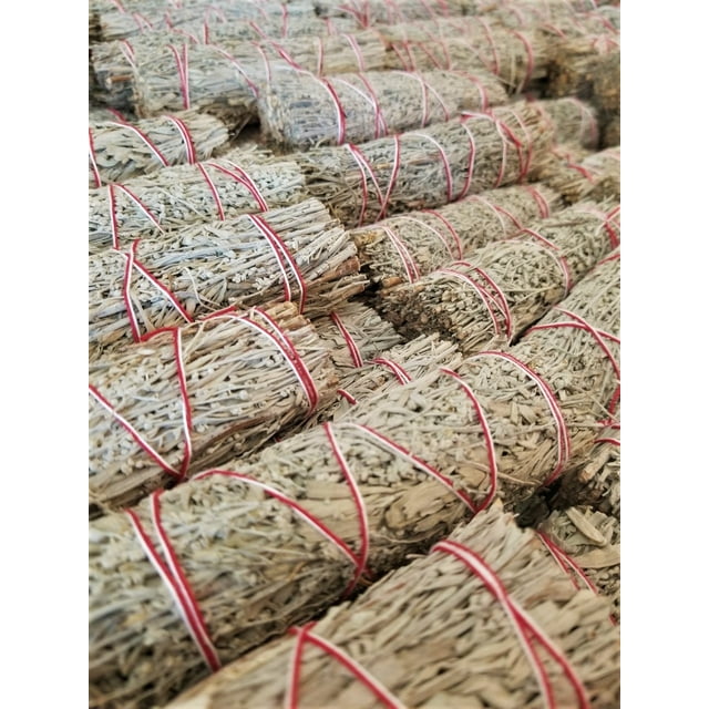 Bulk Sage Bundles Wholesale Smudge Sticks, Organic Fresh White Sage or Blue Sage Bundles ...