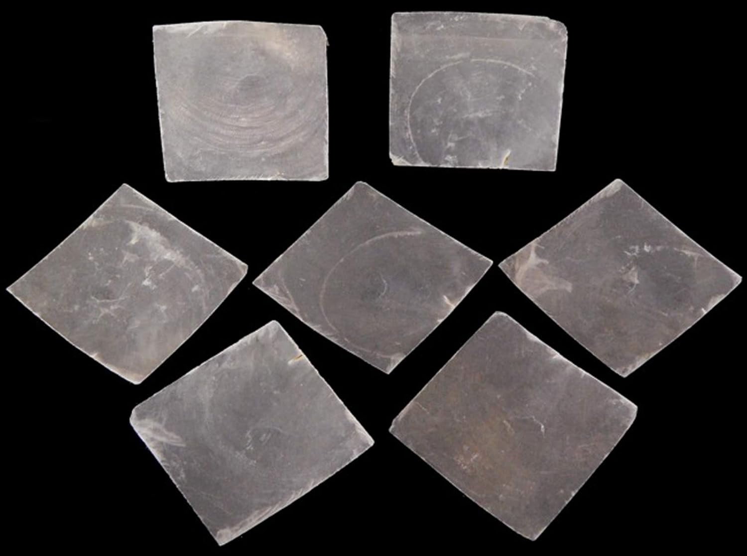 100 Capiz Shells White Square Cut (2"/ 50 mm) No Holes Crafts ...