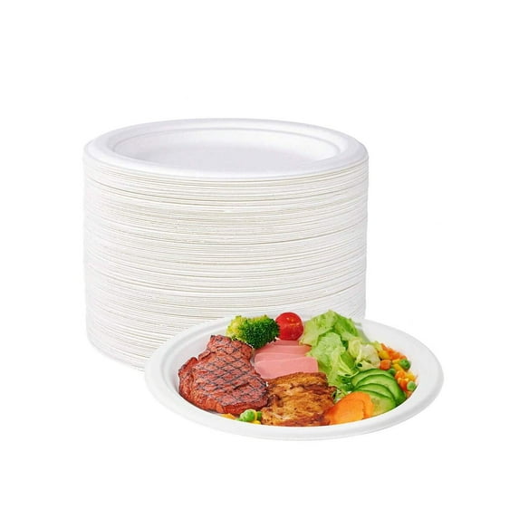 100% Compostable 10 Inch Paper Plates 150 Count - Heavy Duty Disposable ...
