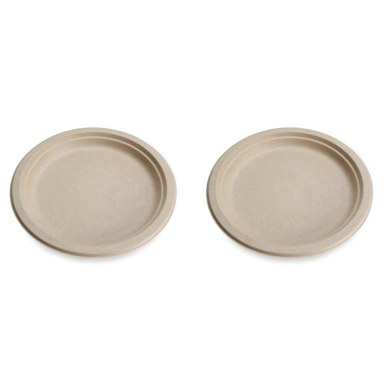100% Compostable Disposable Paper Plates Bulk 9 Inch 100 Pack, Bamboo ...