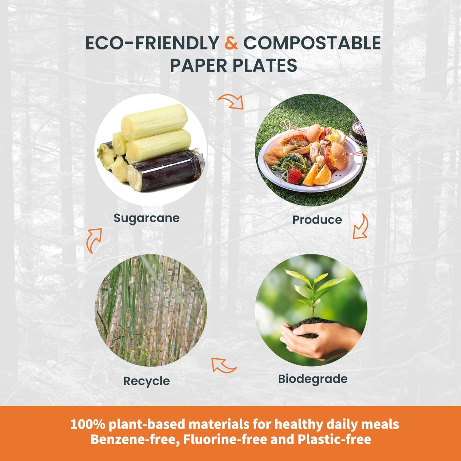 100% Compostable Paper Plates, Disposable Dinner Plates, Pfas-Free ...