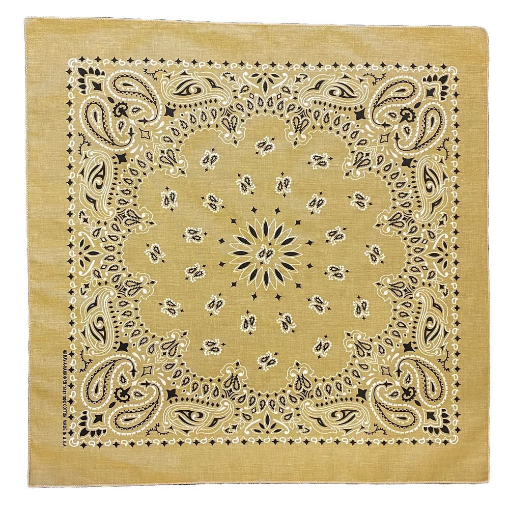 100% Cotton True two-sidede print Rolled-hem edges 22"x22" Paisley ...