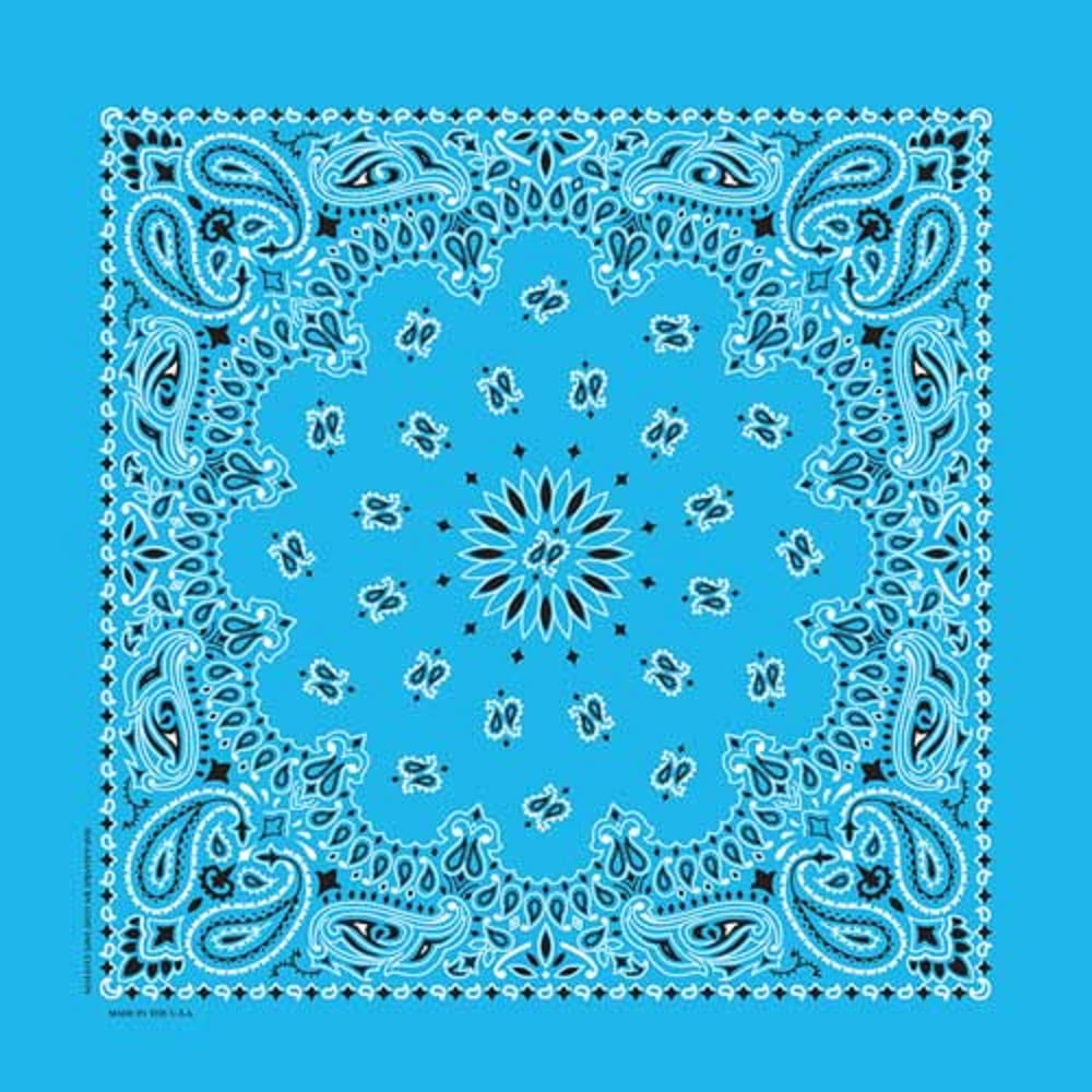 100% Cotton True two-sidede print Rolled-hem edges 22"x22" Paisley ...