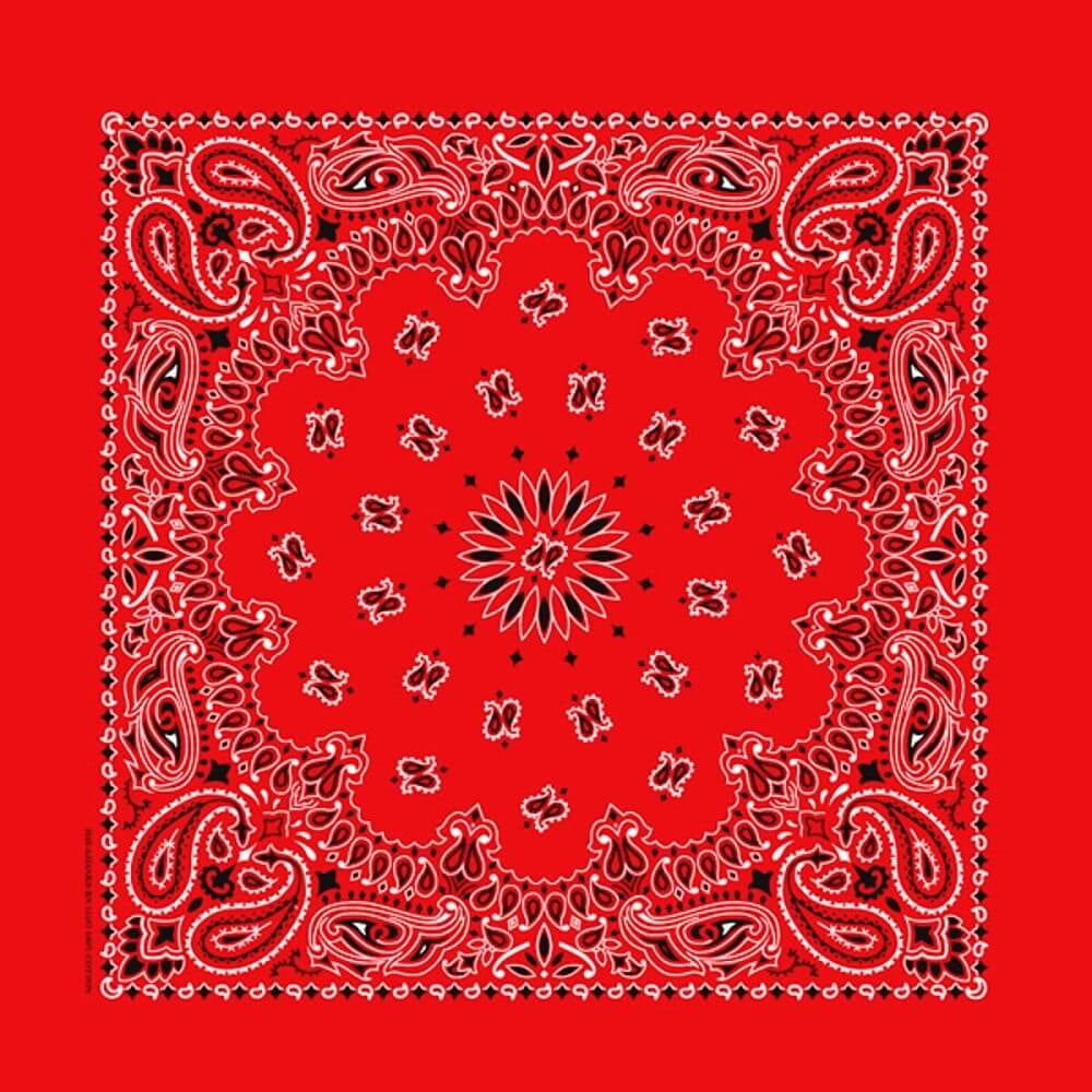 100% Cotton True two-sidede print Rolled-hem edges 22"x22" Paisley ...