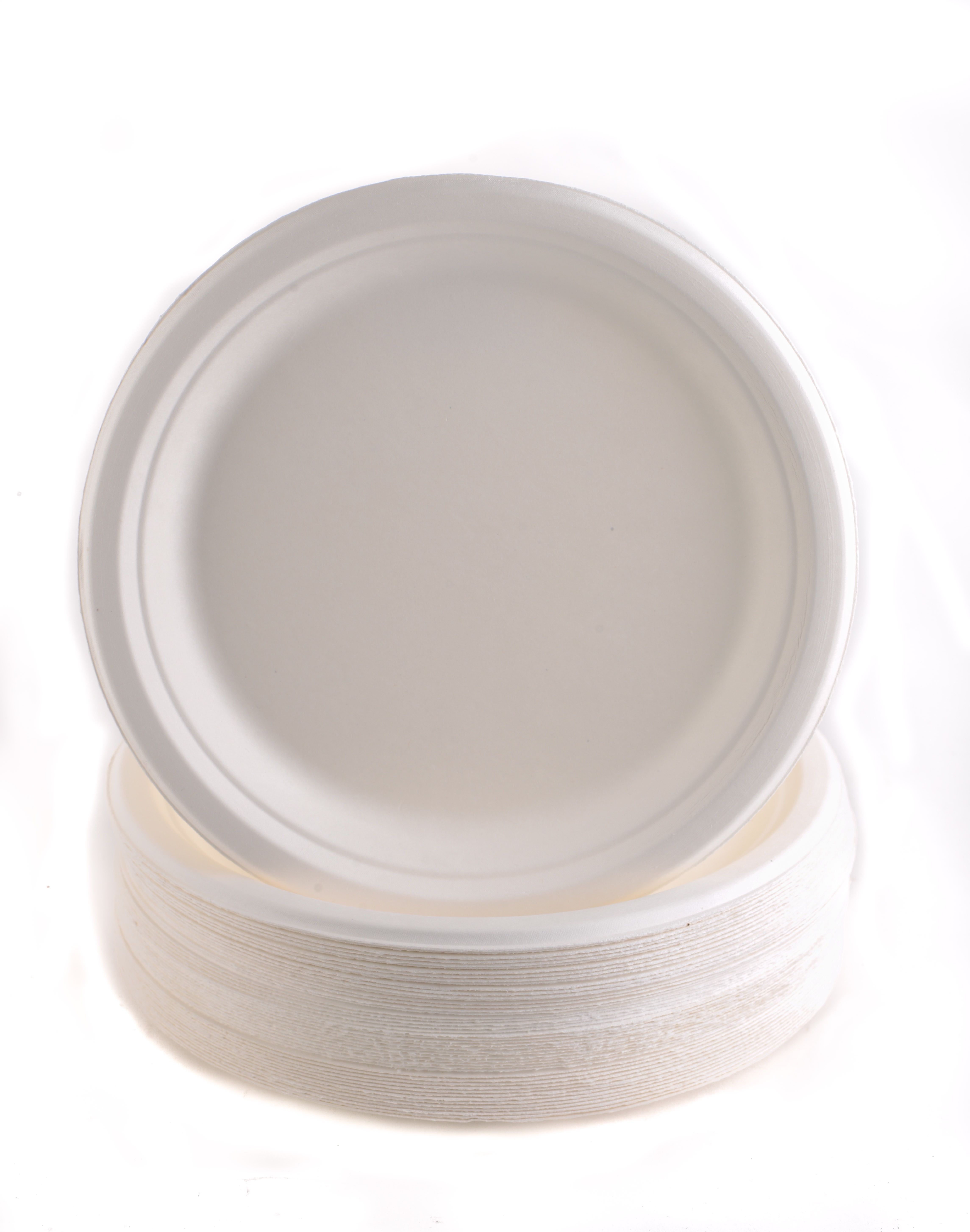 [100 Count] 100% Compostable 9-Inch Plates EcoQuality - Natural ...