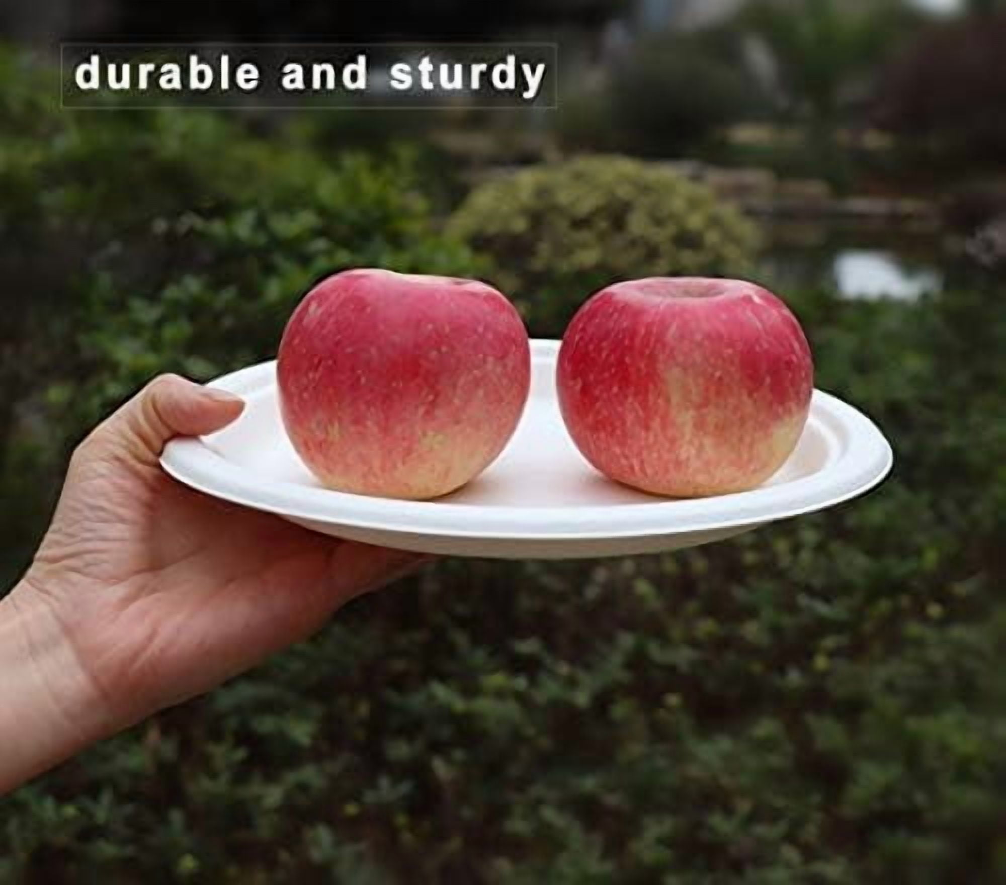 100 Count 9“ Heavy-duty Compostable Plates, Unbleached Biodegradable ...