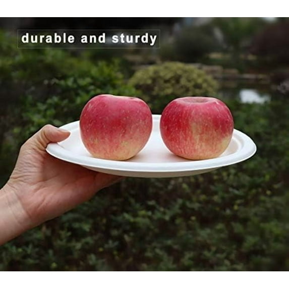 100 Count 9“ Heavy-duty Compostable Plates, Unbleached Biodegradable ...