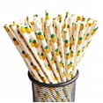 100 Count Biodegradable Fruit Print Paper Straws, Disposable Decorative ...