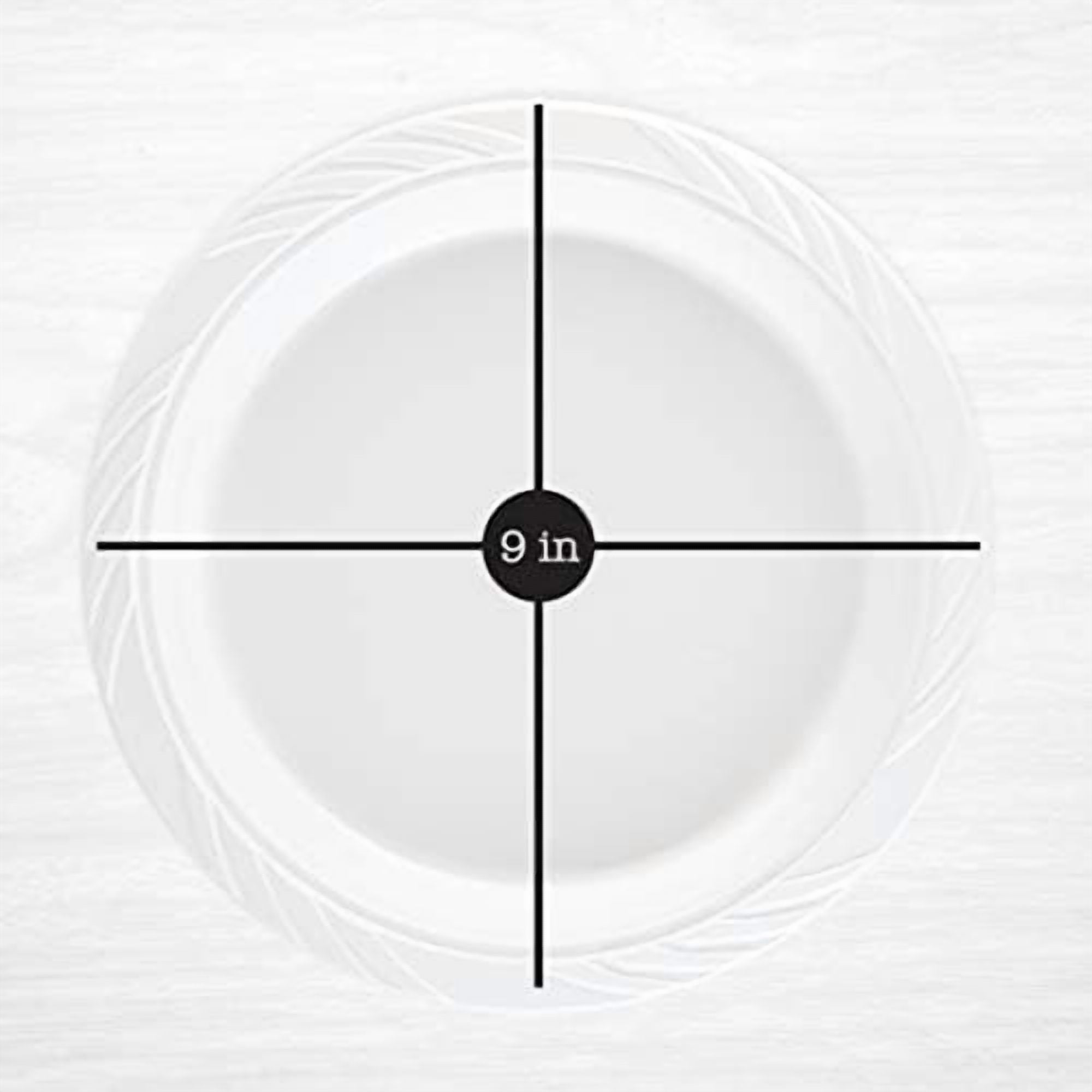 100 Count Disposable 9 Inch White Plastic Dinner Plates large - Walmart.com