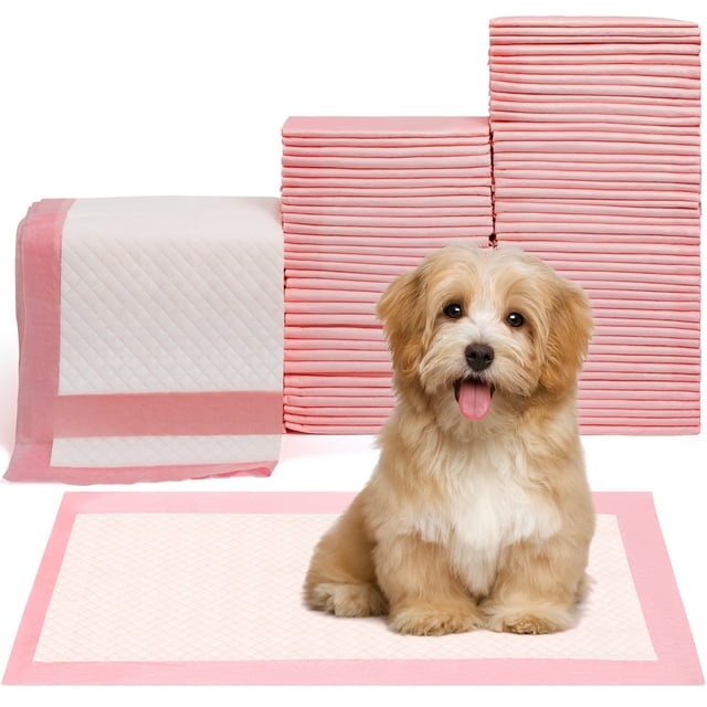 "Absorbent Dog Potty Training Pads, 100 Count Disposable Puppy Pee Pads ...