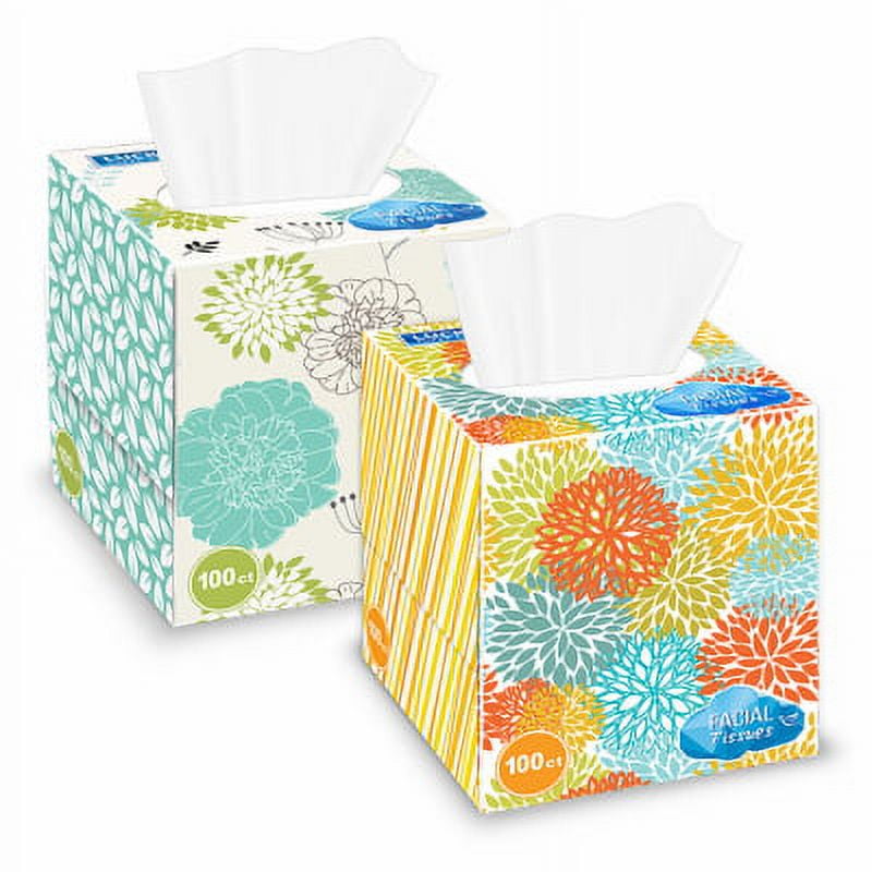 100 Count Super Soft Facial Tissues in Cube Box. Unscented soft and si ...