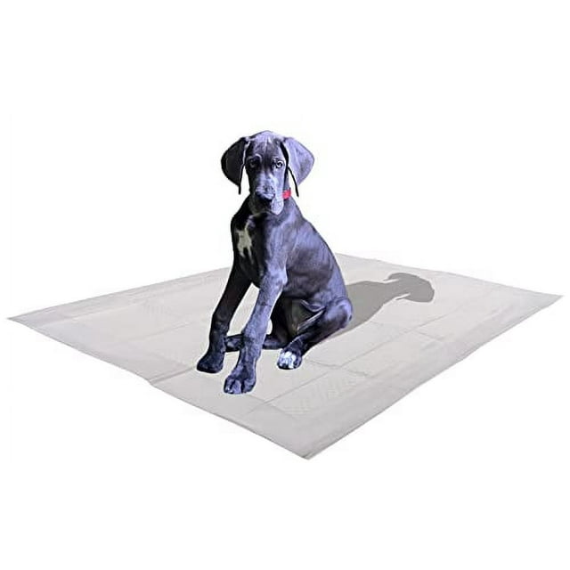 100 Count Ultra Absorbent - Leak-Proof Pee Pads for Dogs Rabbits and ...