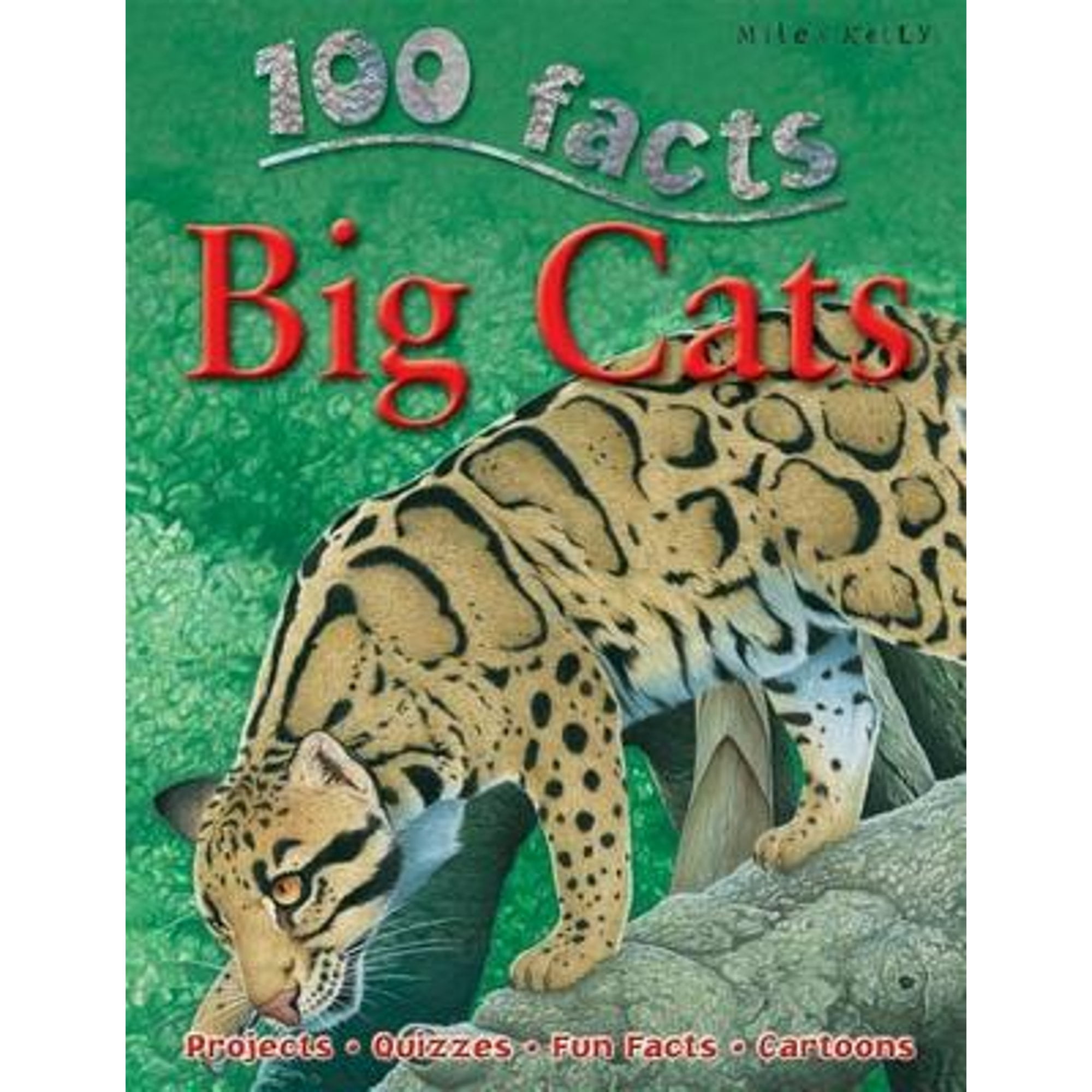 100 Facts - Big Cats (Paperback) by Miles Kelly - Walmart.com