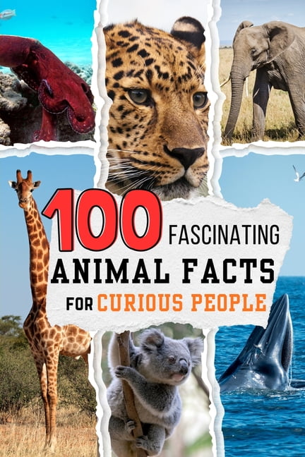 100 Fascinating Animal Facts for Curious People: Mind Blowing Nature ...