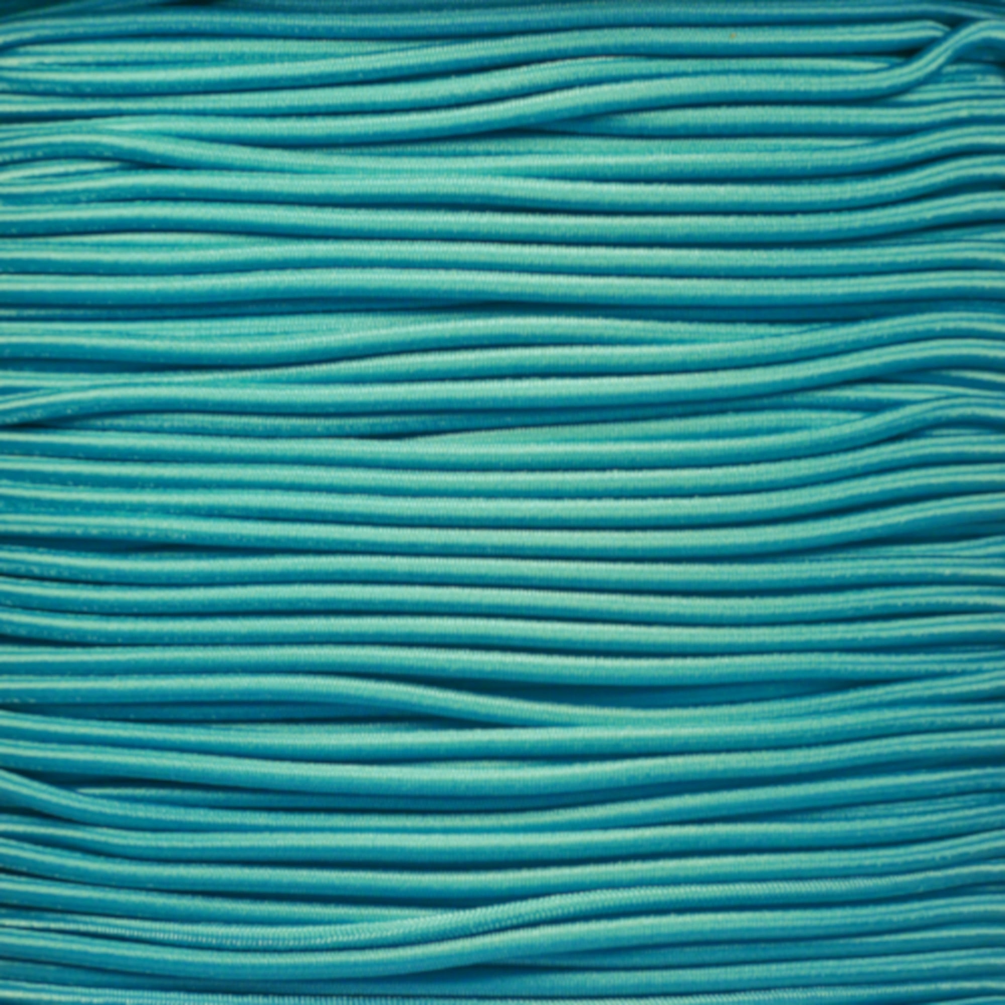 Paracord Planet, 100 Feet Multi-Color Nylon Marine Bungee Cord 100lb ...
