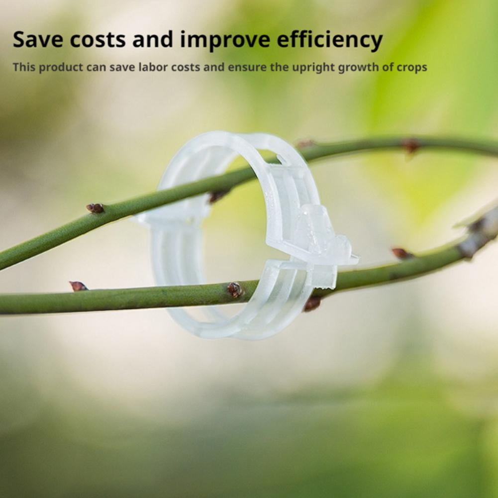 [100 Fixed Clips Hanging Device Vegetables, Fruits, Tomatoes Clips ...