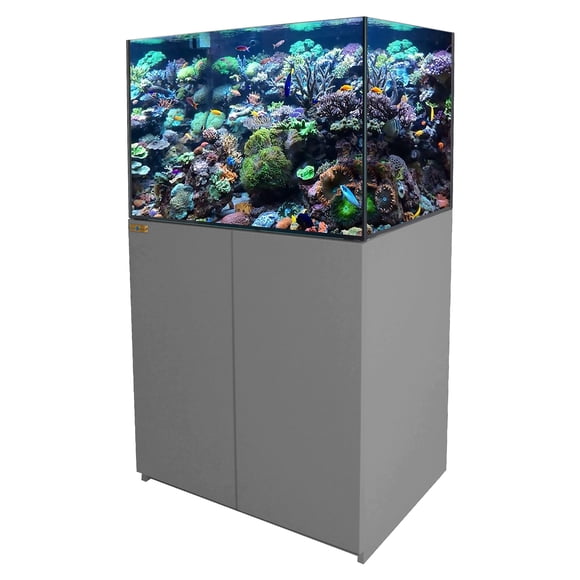 100 Gallon Fish Tank